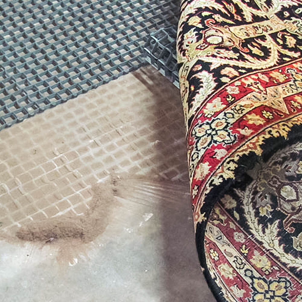 Oriental and Area Rug Cleaning company Longview, Texas